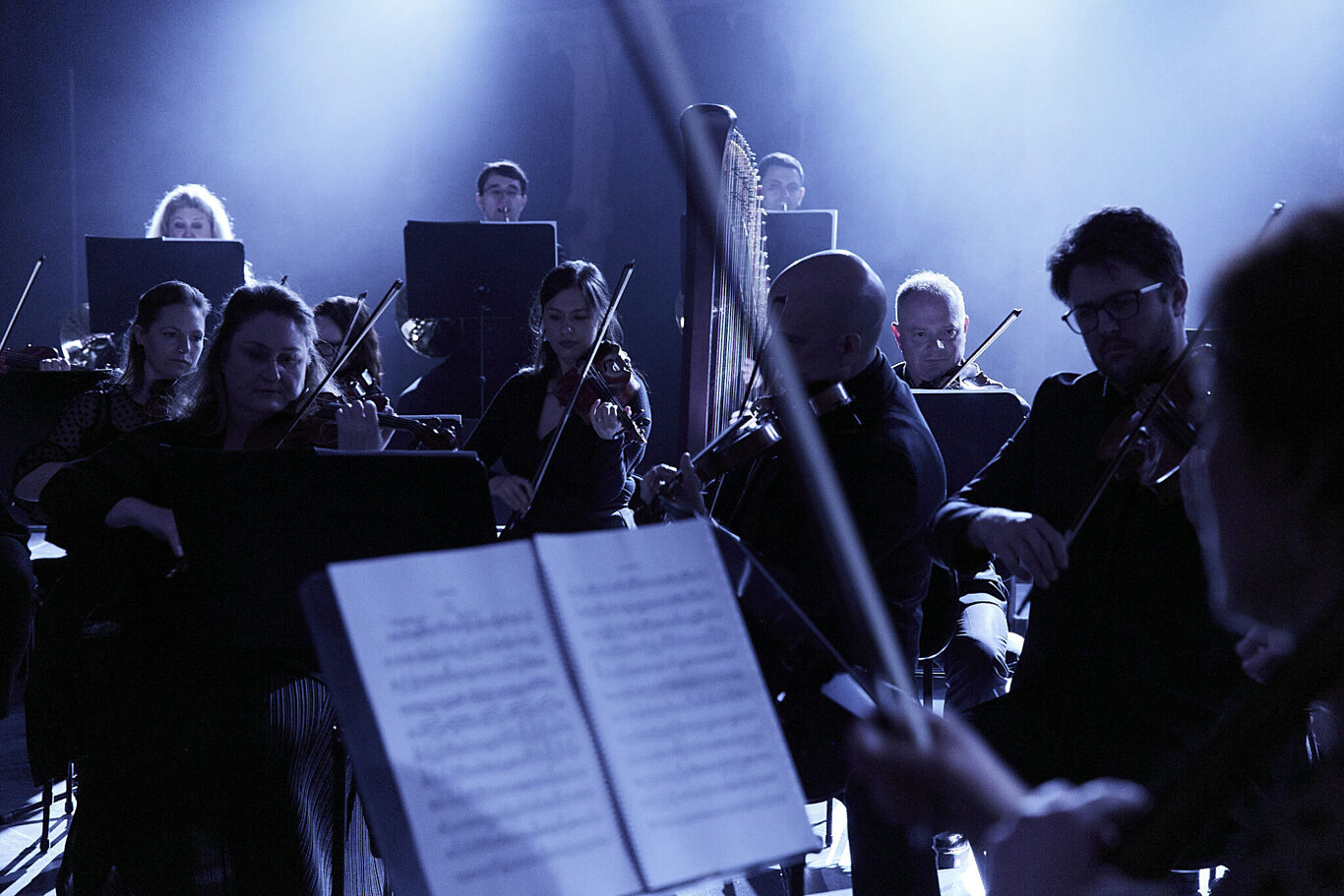 Orchestra Victoria - Meet @ the Market 2025 | Orchestra Victoria