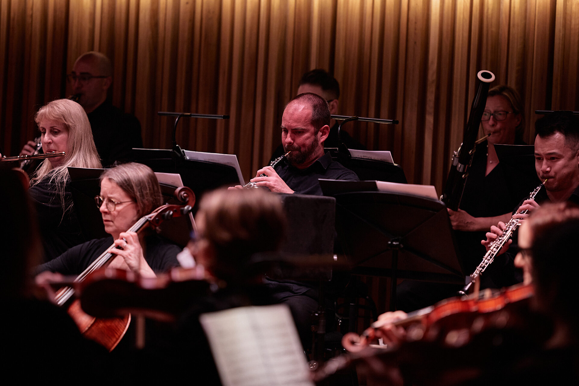 Orchestra Victoria - Southbank Series 2025 | Orchestra Victoria